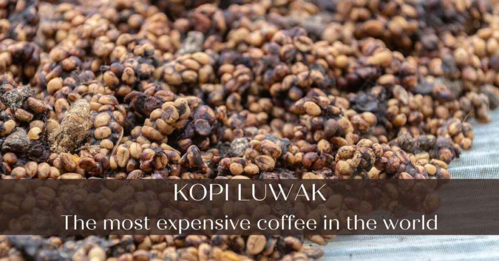 The most expensive coffee in the world? Have you tried itt?